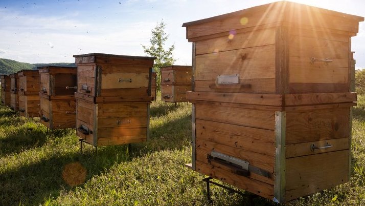 ASK – Azərbaycan Respublikası Sahibkarlar (İşəgötürənlər) Təşkilatları ...